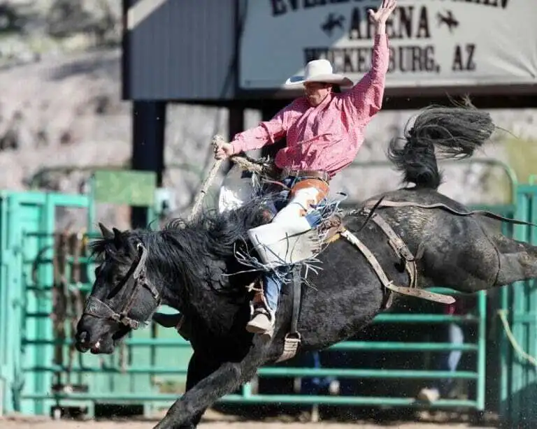 Gold Rush Days & Senior Pro Rodeo 2026 - Cowboy Lifestyle Network