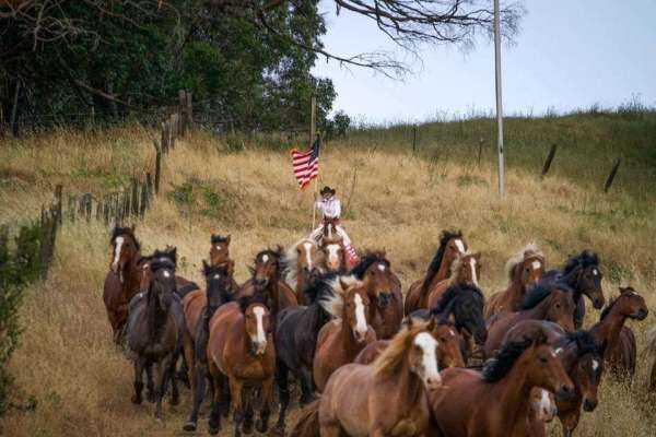 Rowell Ranch Pro Rodeo 2024 - Cowboy Lifestyle Network
