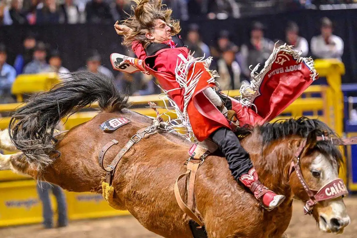 Steiners Kick Off 2024 at Fort Worth Stock Show & Rodeo - Cowboy ...
