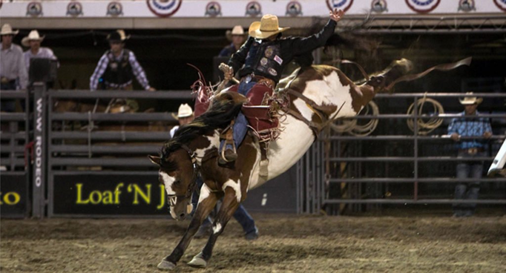 What is Saddle Bronc Riding? - Cowboy Lifestyle Network