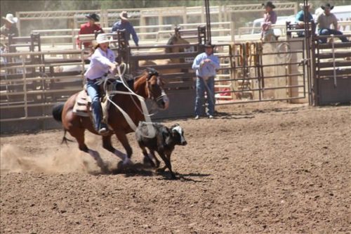 What is Breakaway Roping? - Cowboy Lifestyle Network