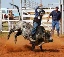 J.C. Mortensen Miniature Bull Riding Invitational