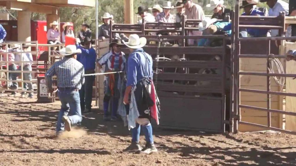 Arizona High School Rodeo Association Finals Bull Riding