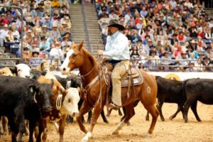 All About the Working Ranch Cowboys Association (WRCA) - Cowboy ...