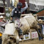Top 5 Bulls in Bucking Bull History - Cowboy Lifestyle Network