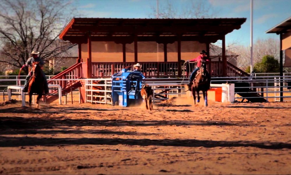 CLN's PRCA Celebrity of the Month: Hal Earnhardt