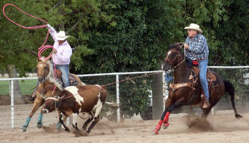 CLN's PRCA Celebrity of the Month: Hal Earnhardt