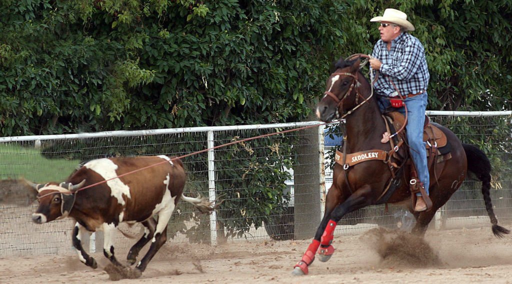 CLN's PRCA Celebrity of the Month: Hal Earnhardt