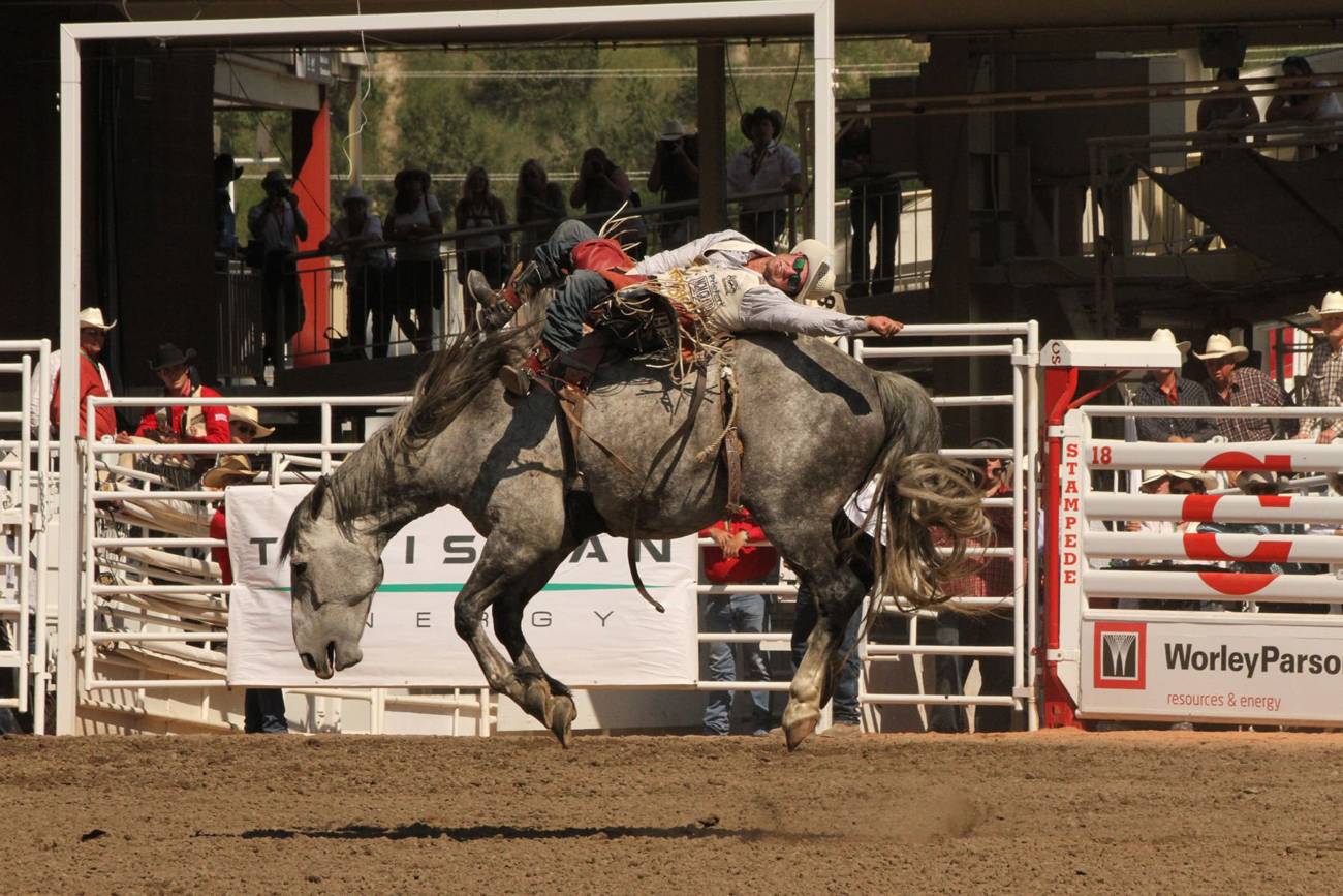 Who's qualified for the 2014 Wrangler National Finals Rodeo