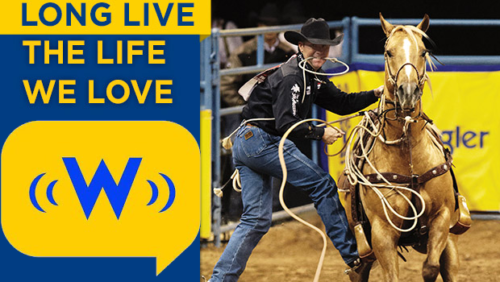 Wrangler Network: the new online network is made official