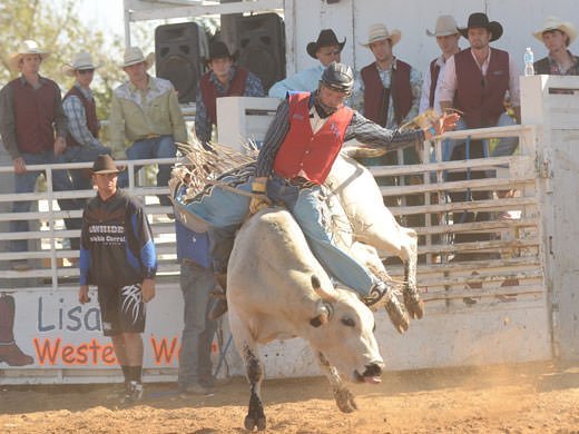 Best Colleges For Bull Riding - Cowboy Lifestyle Network