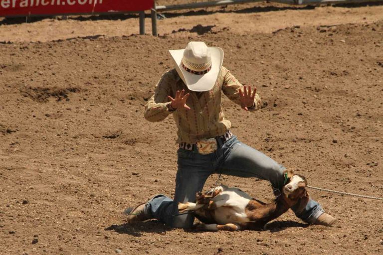 National Little Britches Championship Rodeo 2014 in Pueblo, Colo ...