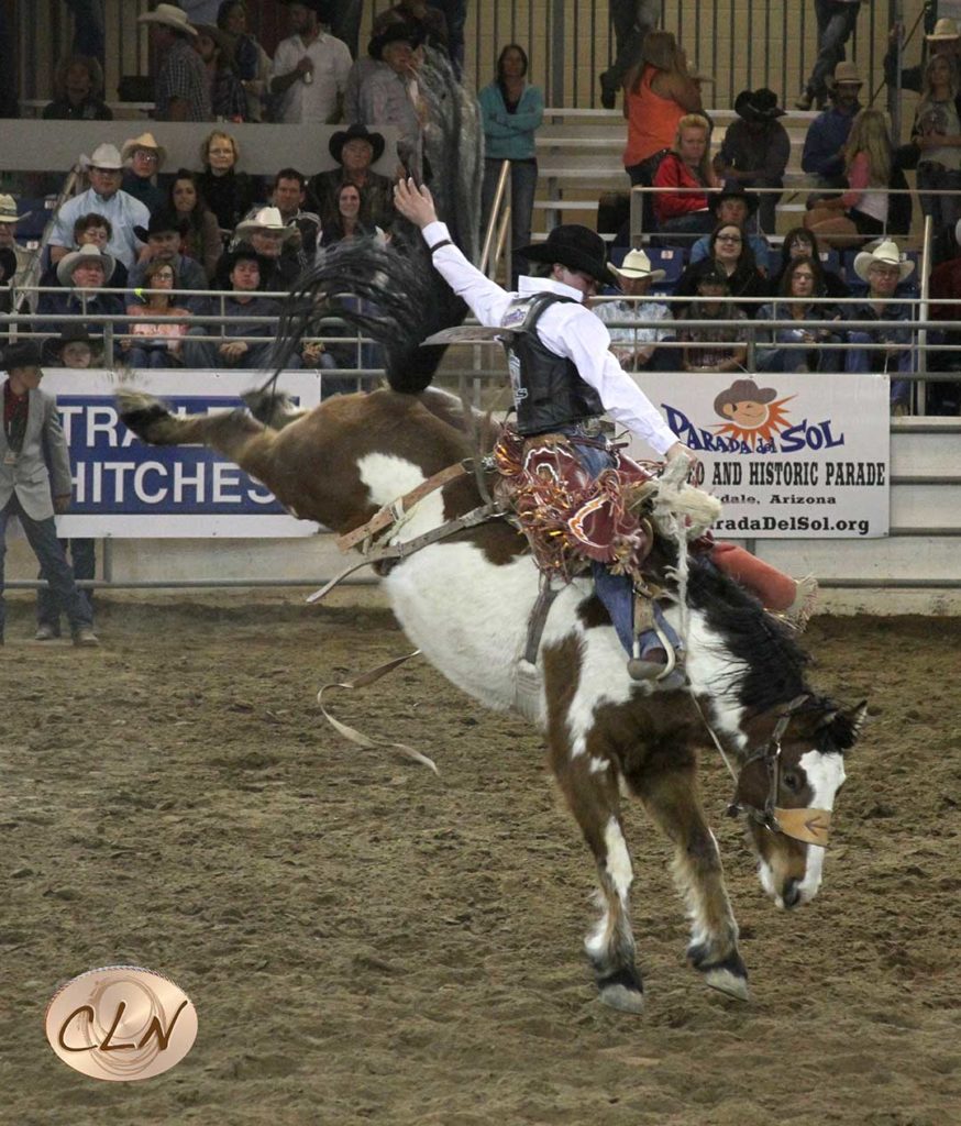 WNFR 2014 - Saddle Bronc Riders - Cowboy Lifestyle Network