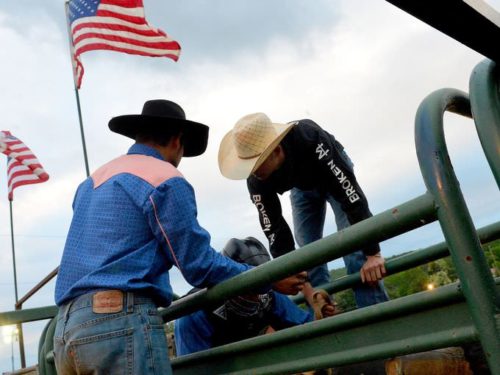 What is the Southern Extreme Bull Riding Association (SEBRA)? - Cowboy ...