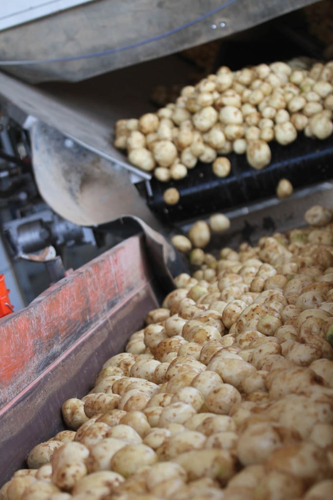 Ak-Chin Indian Community Potato Washing Plant CLN