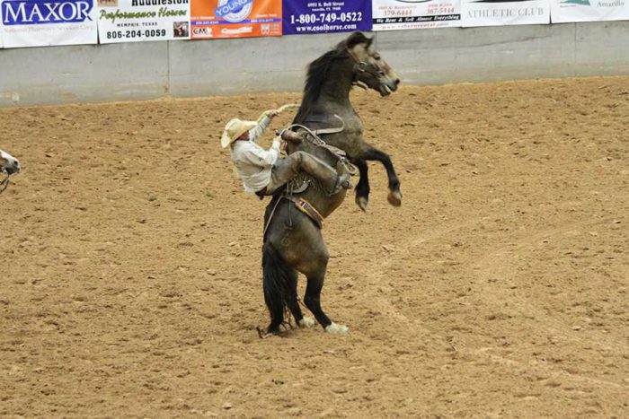 Coors Cowboy Club Ranch Rodeo 2015 | CLN
