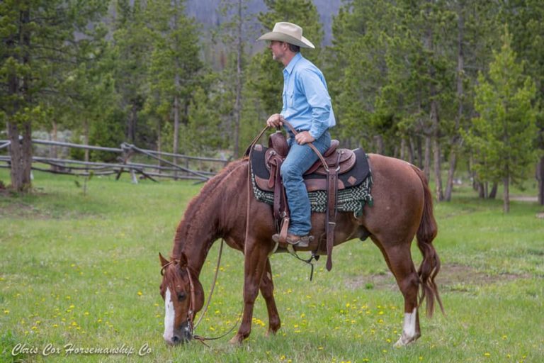 Total Feeds Insider: Chris Cox Horsemanship Company - Cowboy Lifestyle ...