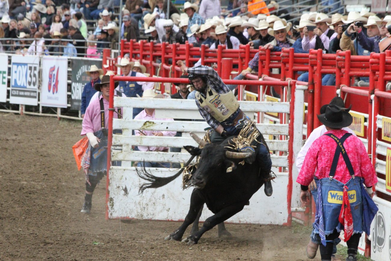 Salinas Rodeo Highlights 2015 | CLN