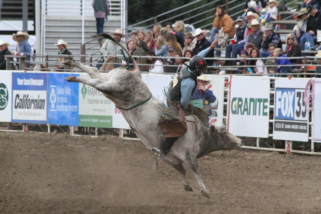 Salinas Rodeo Highlights 2015 | CLN