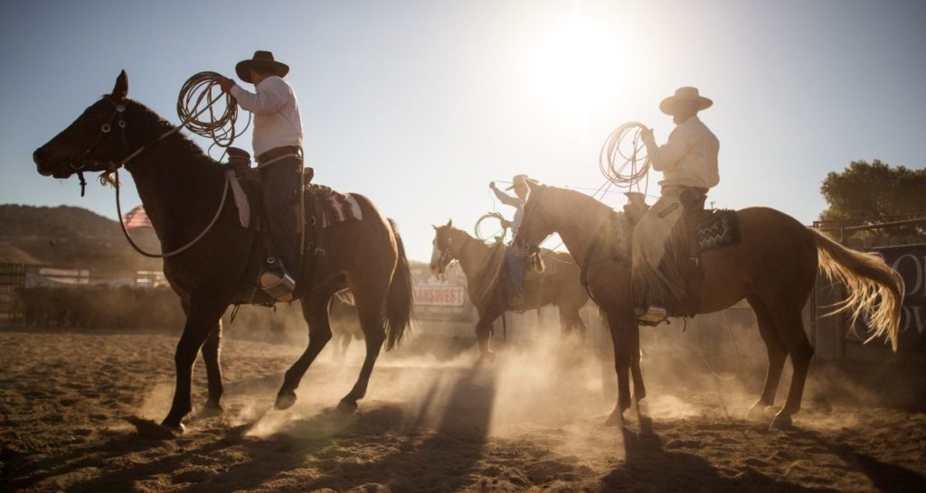 YETI's Ties to the Western Industry - Cowboy Lifestyle Network