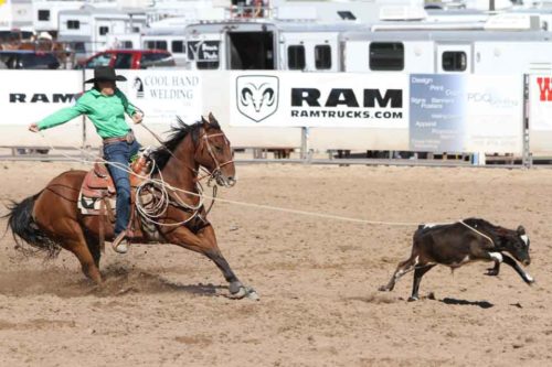 NSPRA Senior National Finals Rodeo 2015 | CLN