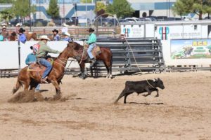 NSPRA Senior National Finals Rodeo 2015 | CLN