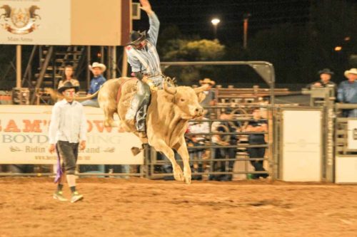 NSPRA Senior National Finals Rodeo 2015 | CLN