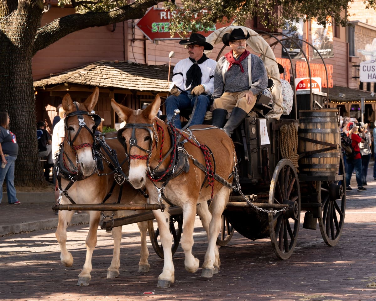 The Stockyards Awaits: Your Invitation to the Authentic Red Steagall ...