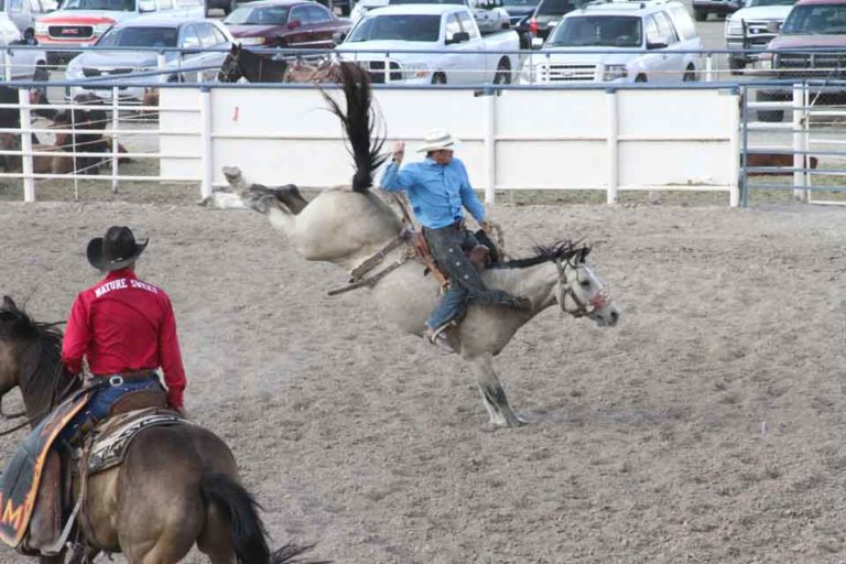 Rex Allen Days Rodeo 2015 Highlights - Cowboy Lifestyle Network