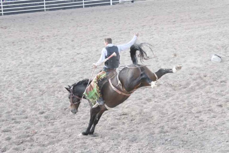 Rex Allen Days Rodeo 2015 Highlights - Cowboy Lifestyle Network