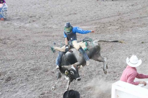 Rex Allen Days Rodeo 2015 Highlights - Cowboy Lifestyle Network