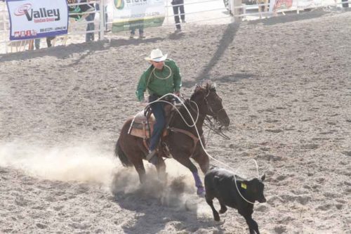 Rex Allen Days Rodeo 2015 Highlights - Cowboy Lifestyle Network