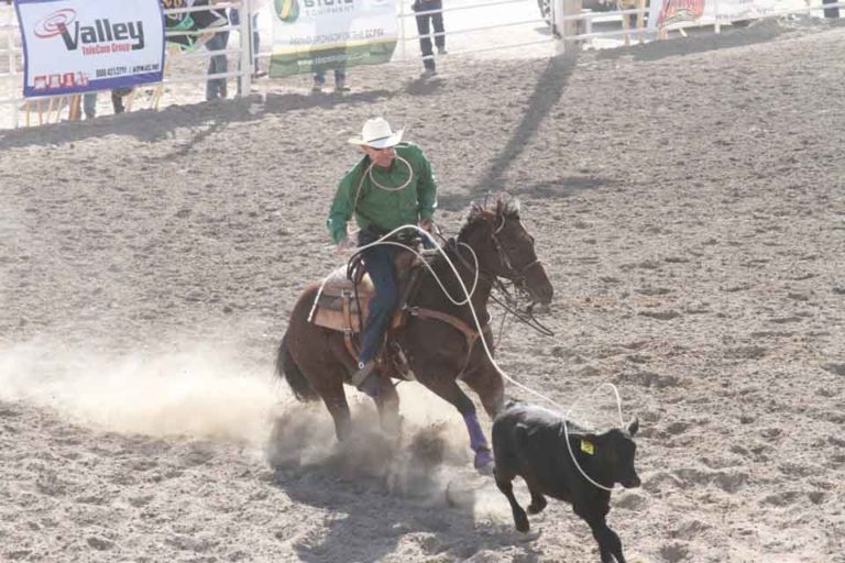 Rex Allen Days Rodeo 2015 Highlights - Cowboy Lifestyle Network