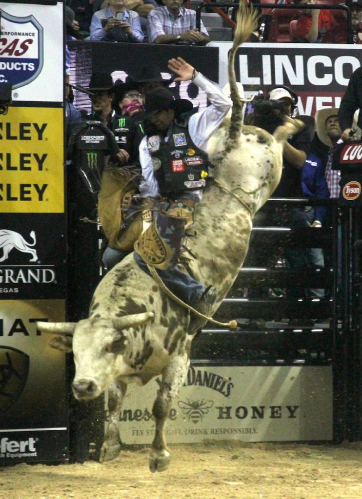 CLN Recaps the 2015 PBR World Finals in Las Vegas, NV