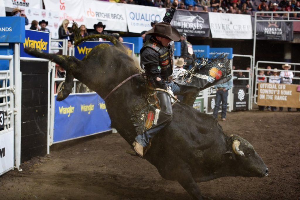 Canadian Finals Rodeo 2015 - Cowboy Lifestyle Network