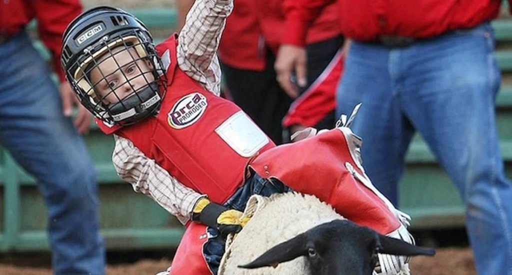 Mutton Busting: False Controversy - Cowboy Lifestyle Network