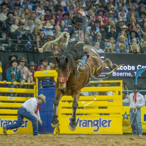 History Made at the 2015 Wrangler National Finals Rodeo