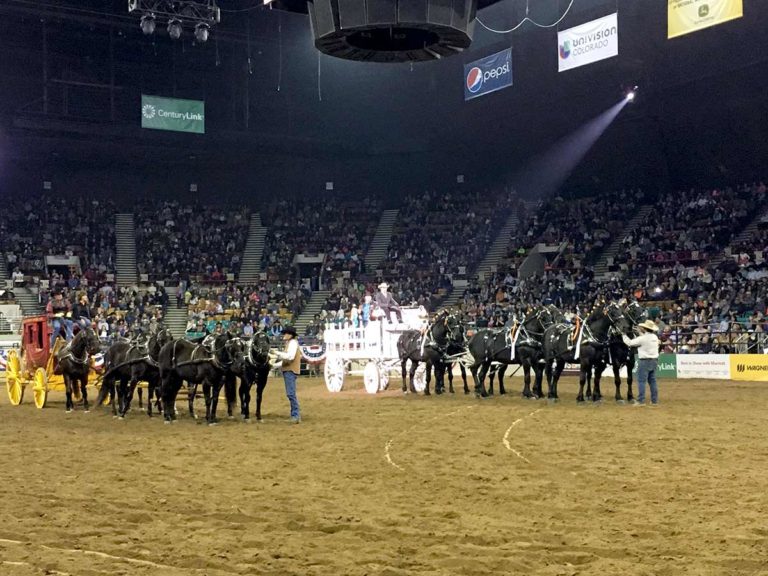 National Western Stock Show and Rodeo 2016 - Cowboy Lifestyle Network