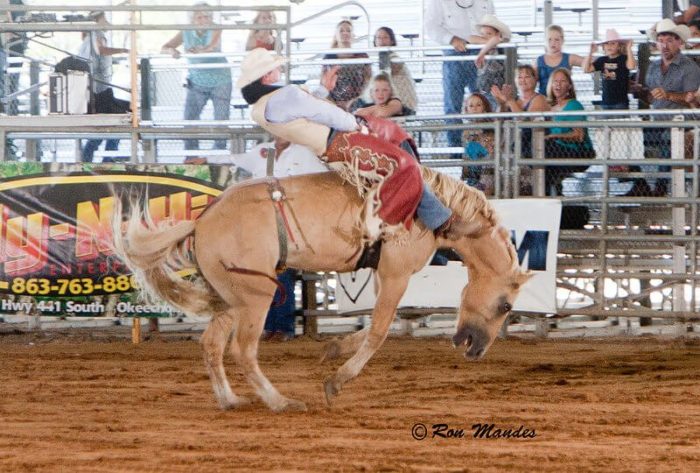 Okeechobee Cowtown Rodeo 2016 - Cowboy Lifestyle Network
