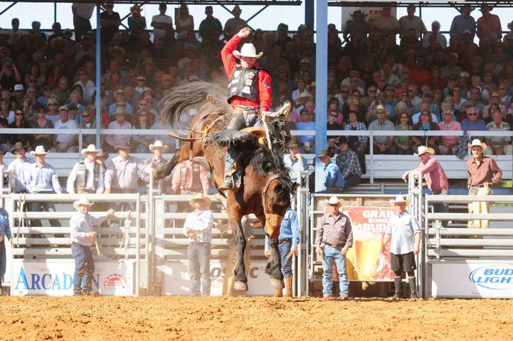 88th Annual Arcadia All-Florida Championship Rodeo - Cowboy Lifestyle ...