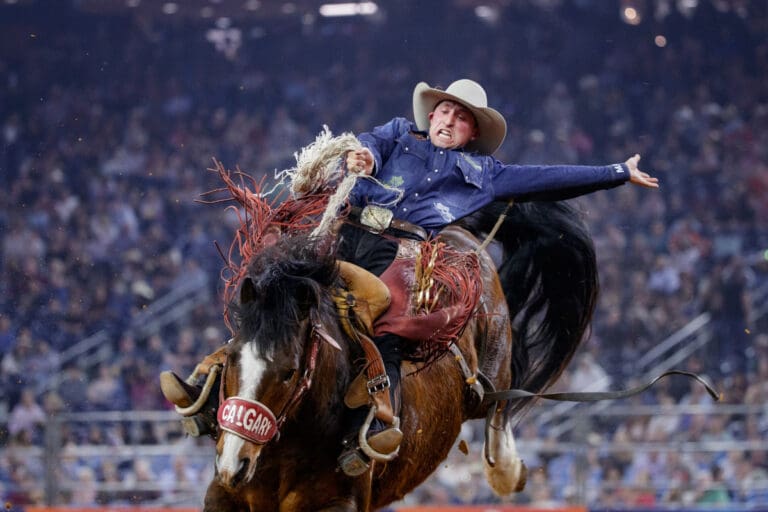 A Legacy of Heart: The Houston Livestock Show and Rodeo 2026 - Cowboy ...