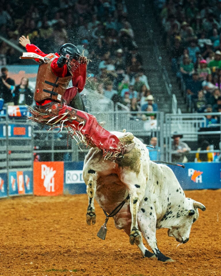 A Legacy of Heart: The Houston Livestock Show and Rodeo 2026 - Cowboy ...