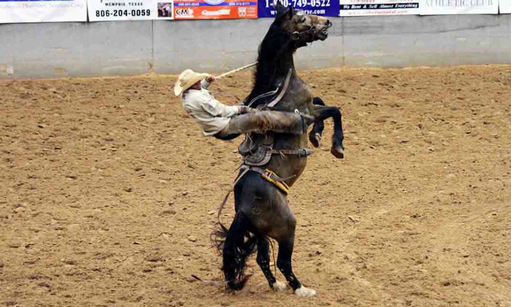 2016 Coors Cowboy Club Ranch Rodeo in Amarillo, TX-CLN