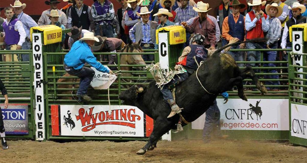 College National Finals Rodeo (CNFR) 2016