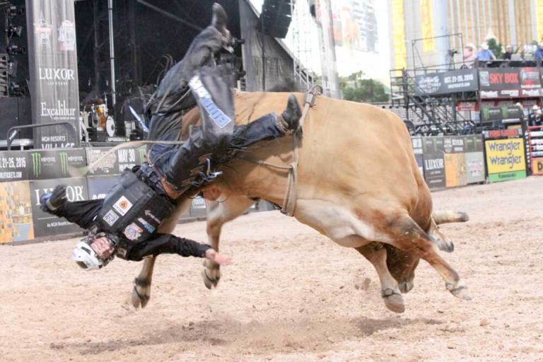 Top Bull Riders Return to “Daddy of ‘Em All” in 2021 - Cowboy Lifestyle ...
