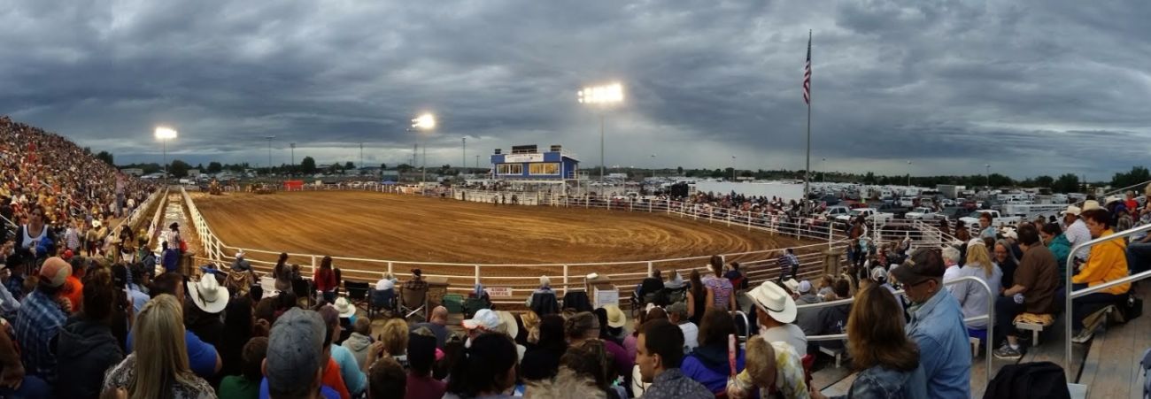 Taylor Pro Rodeo 2020