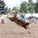 Cheyenne Frontier Days Rodeo 2016 - Cheyenne, Wyoming