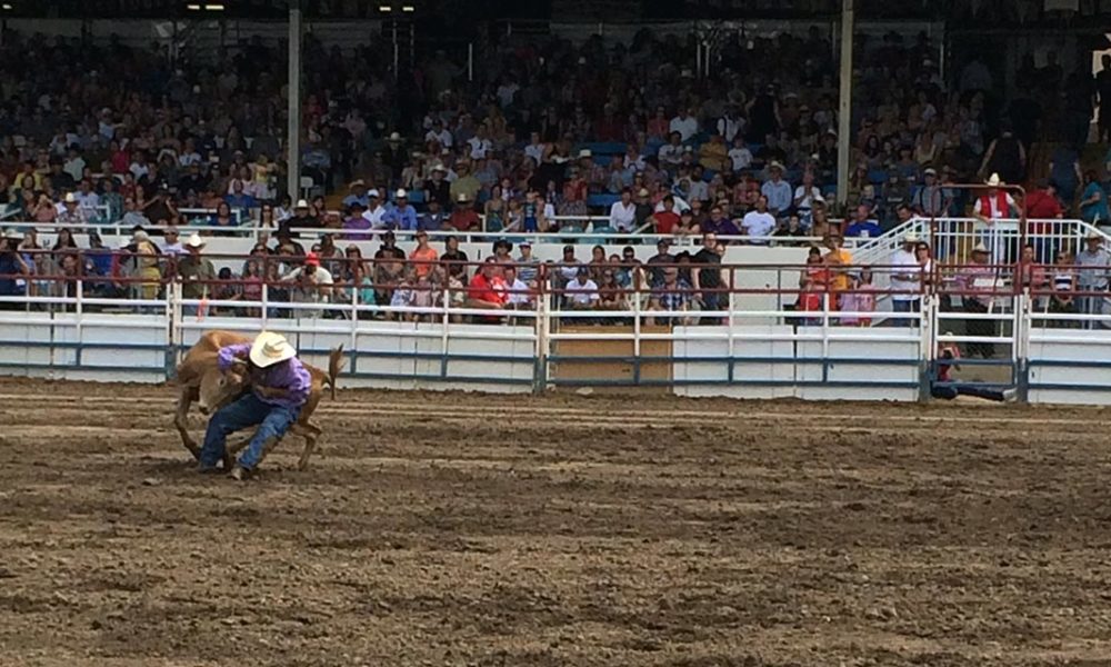 Prescott Rodeo 2015: World’s Oldest Rodeo CLN