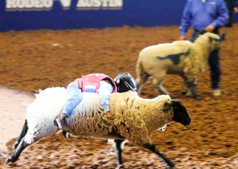 Sheep Riding Kids Participate in Mutton Busting