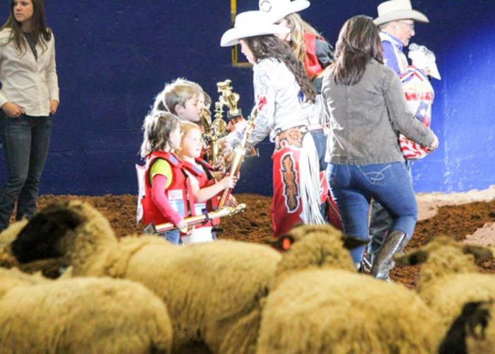 Sheep Riding Kids Participate in Mutton Busting